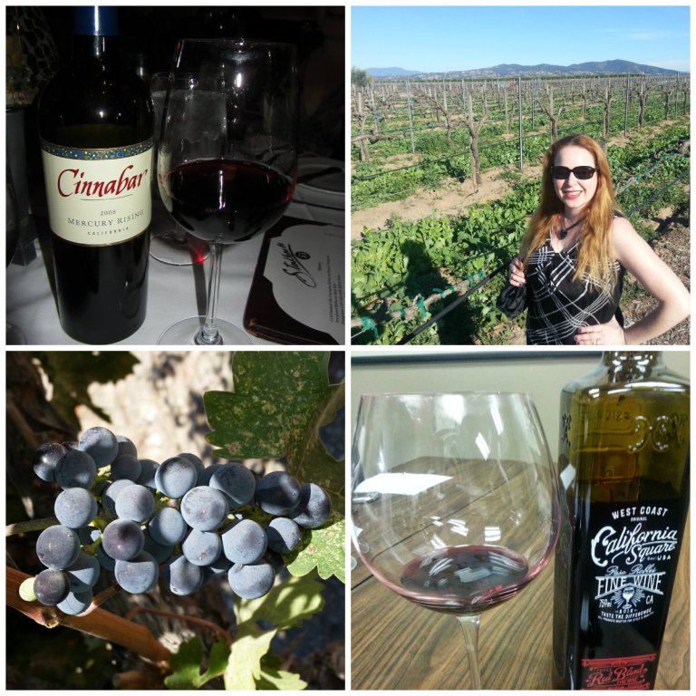 My Top 20 Favorite Wines Under $20 – Dani's Decadent Deals