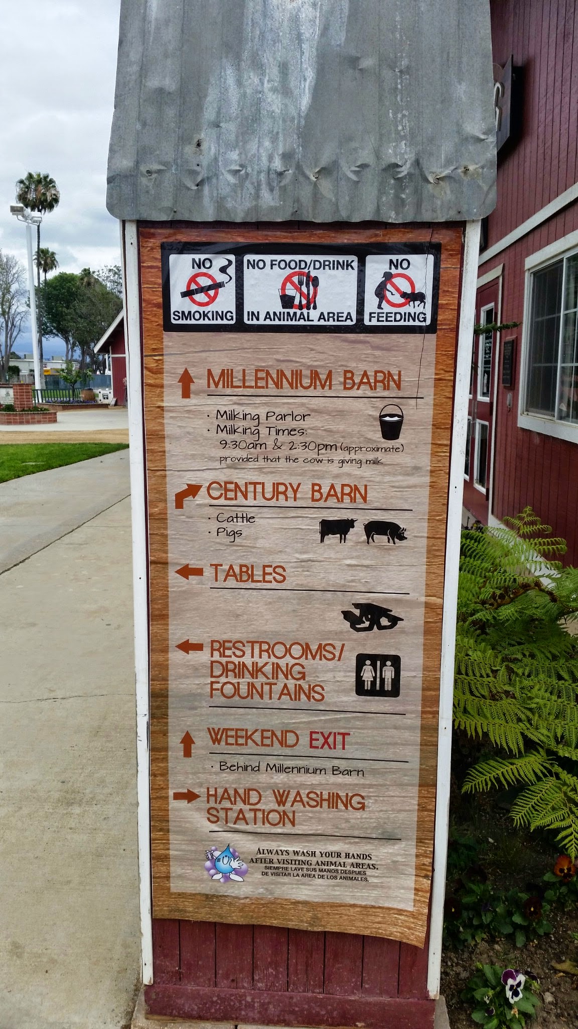 Free Activity in OC – Visit Farm Animals at Centennial Farm, OC Fair ...