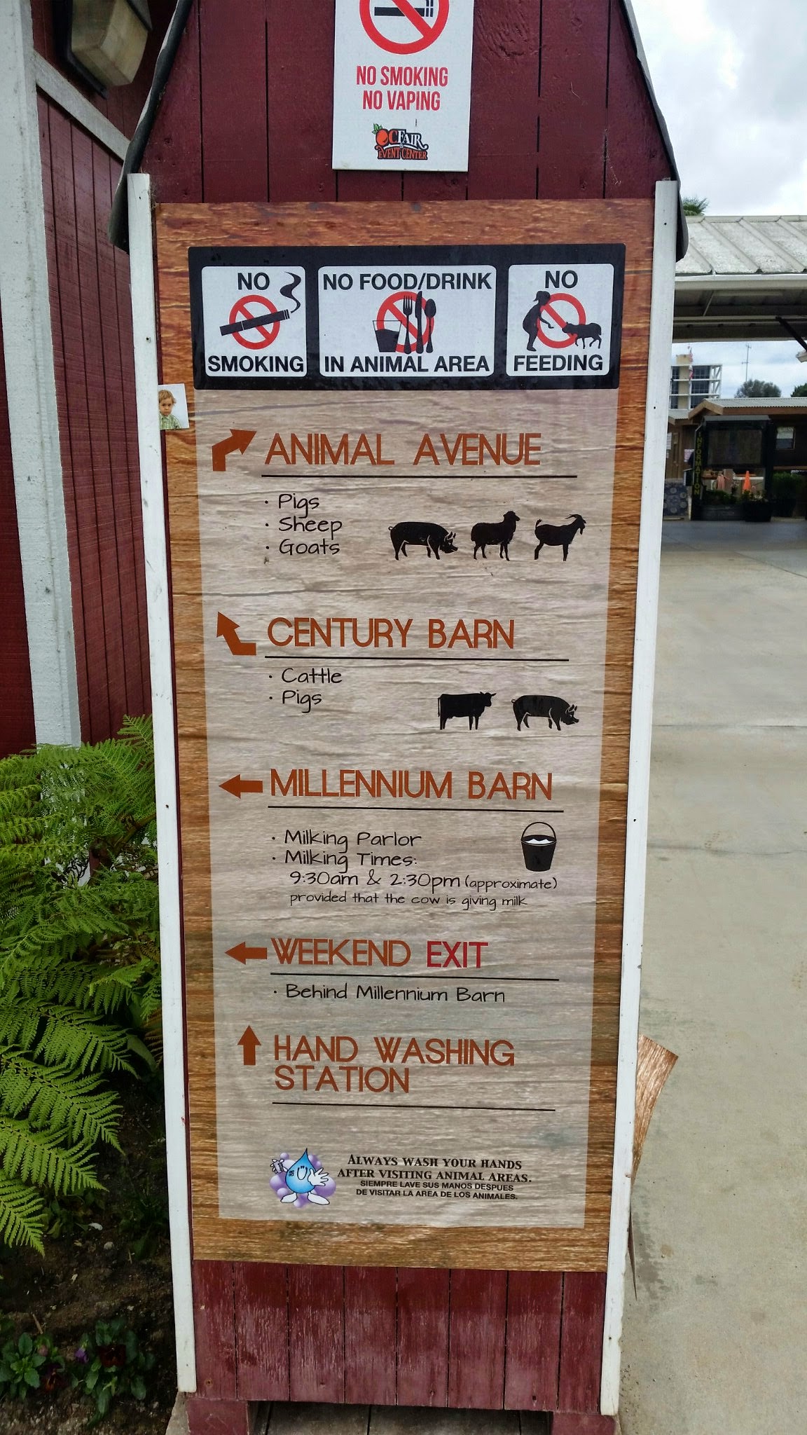 Free Activity in OC – Visit Farm Animals at Centennial Farm, OC Fair ...