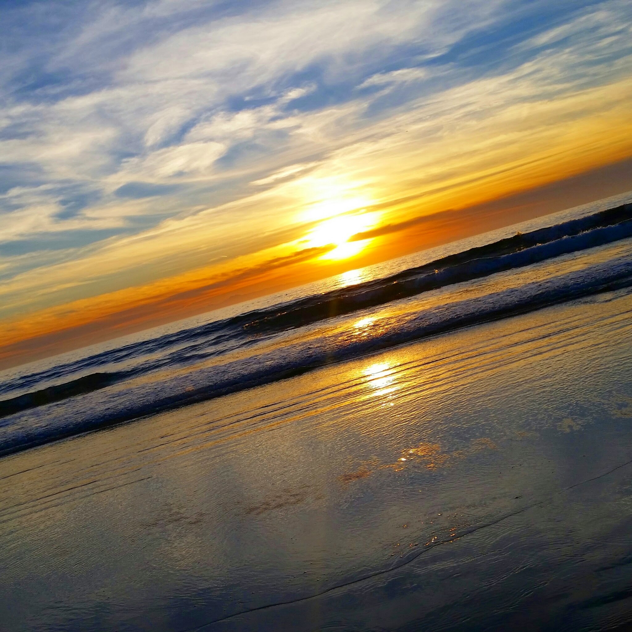 The Delicious Dory Deli Arrives in Newport Beach – Dani's Decadent Deals