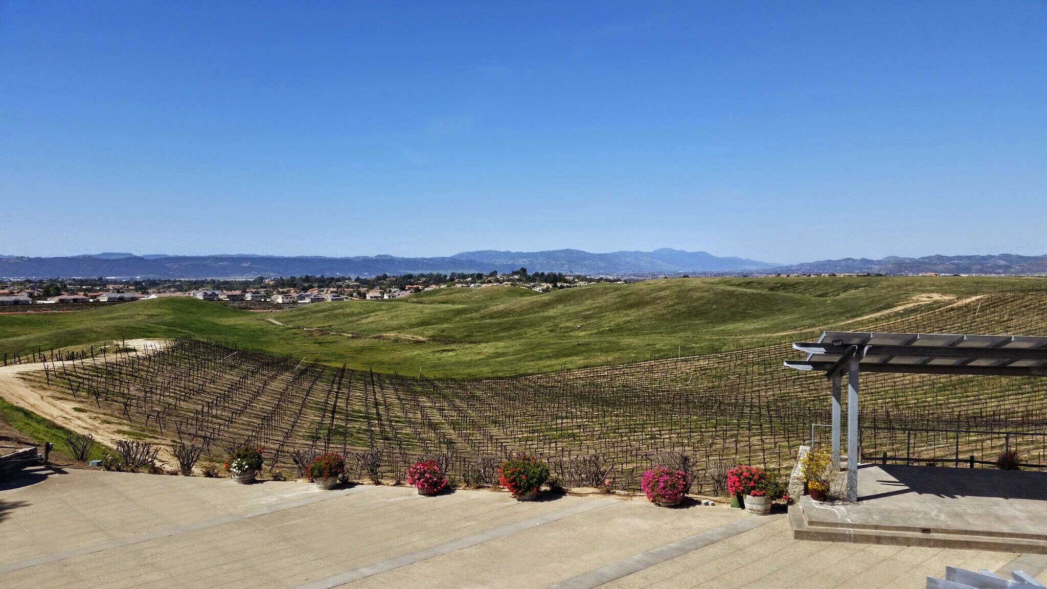 World of Wine Event in Temecula – A Wine Tasting Dream – Dani's ...